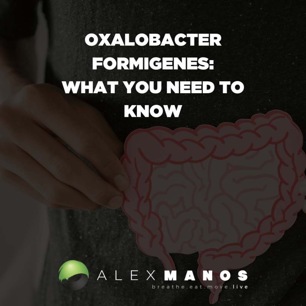 Oxalobacter Formigenes: Everything You Need To Know