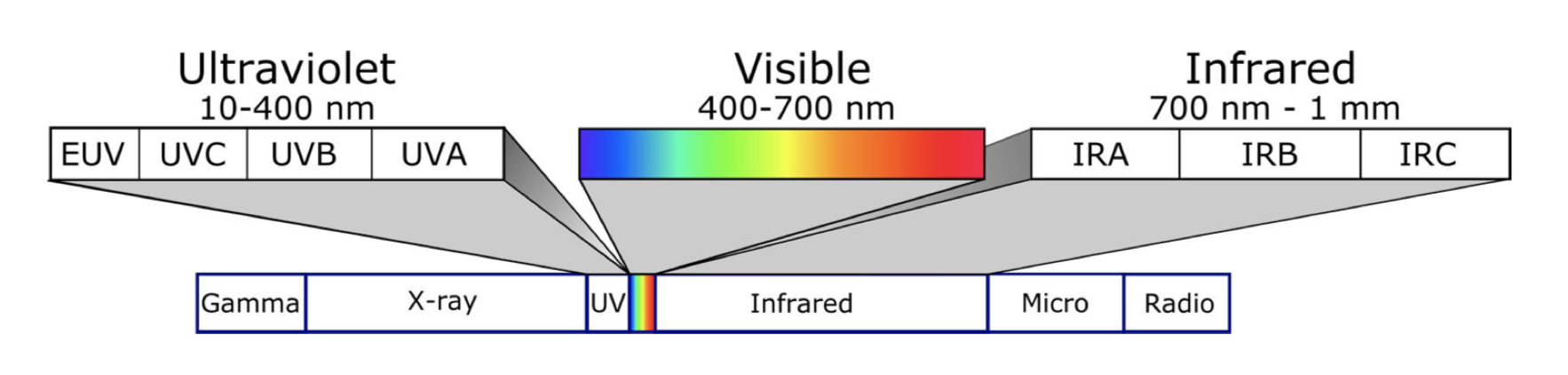 Red & Near-Infrared Light Therapy